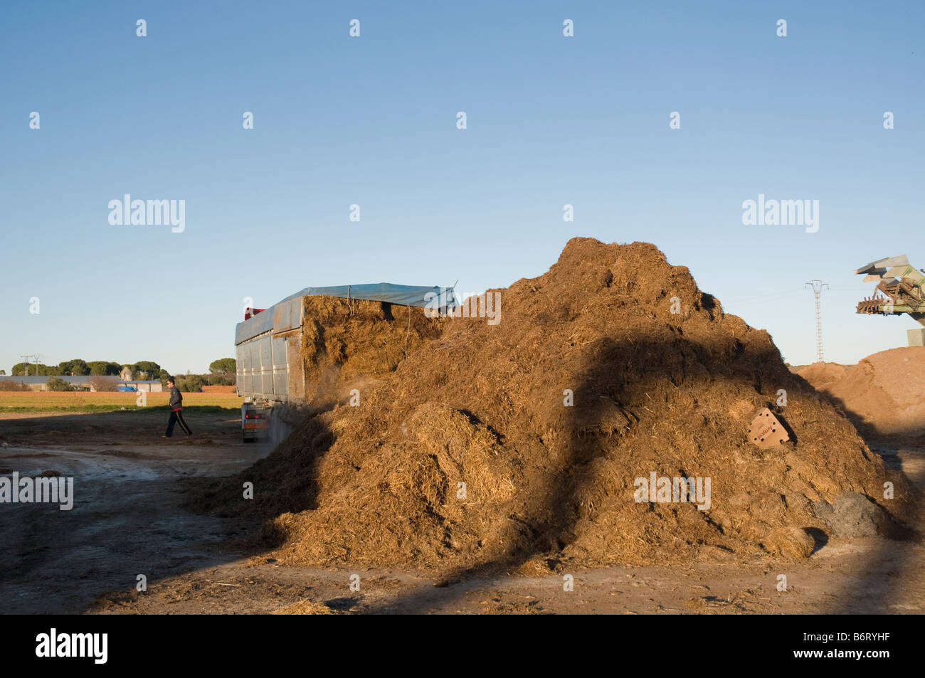 Big load of chicken manure to be used in compost production Stock Photo ...