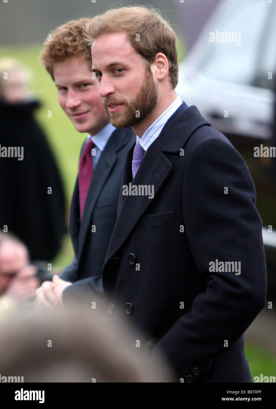 Prince William And Harry Portrait