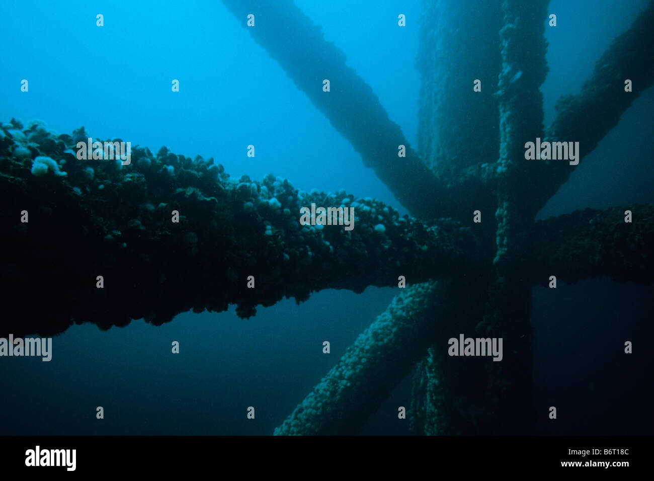 Underwater view of oil Platform Grace and pilings off of the California ...
