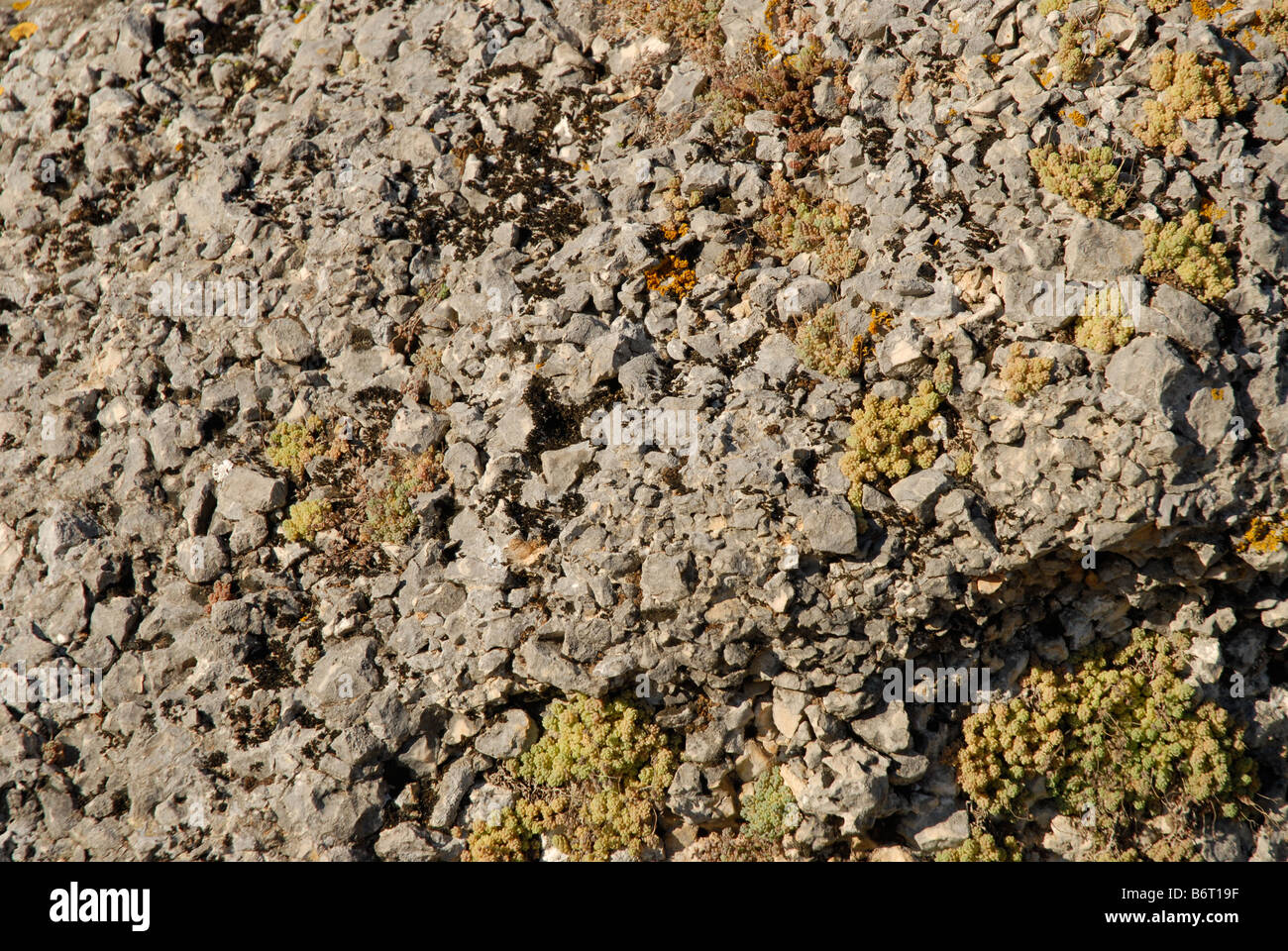 Conglomerate rock formation hi-res stock photography and images - Alamy