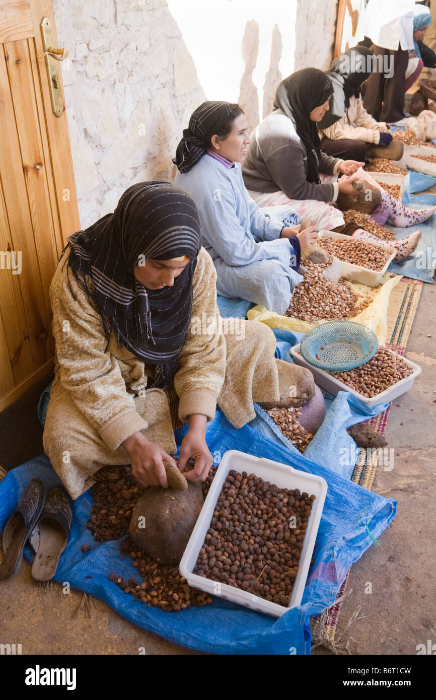 Berber women working grinding Argan tree nut kernels to extract Argan ...