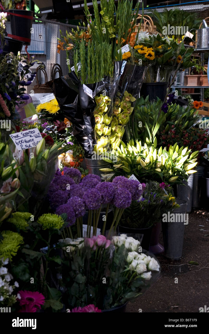 Flower shop at Borough Market, London England UK Stock Photo - Alamy