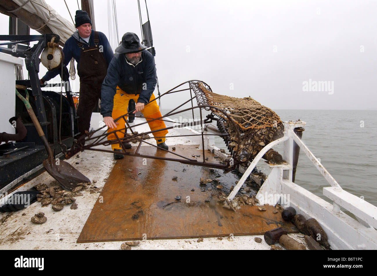 Annapolis Maryland, the last day of oyster season aboard the Skipjack ...