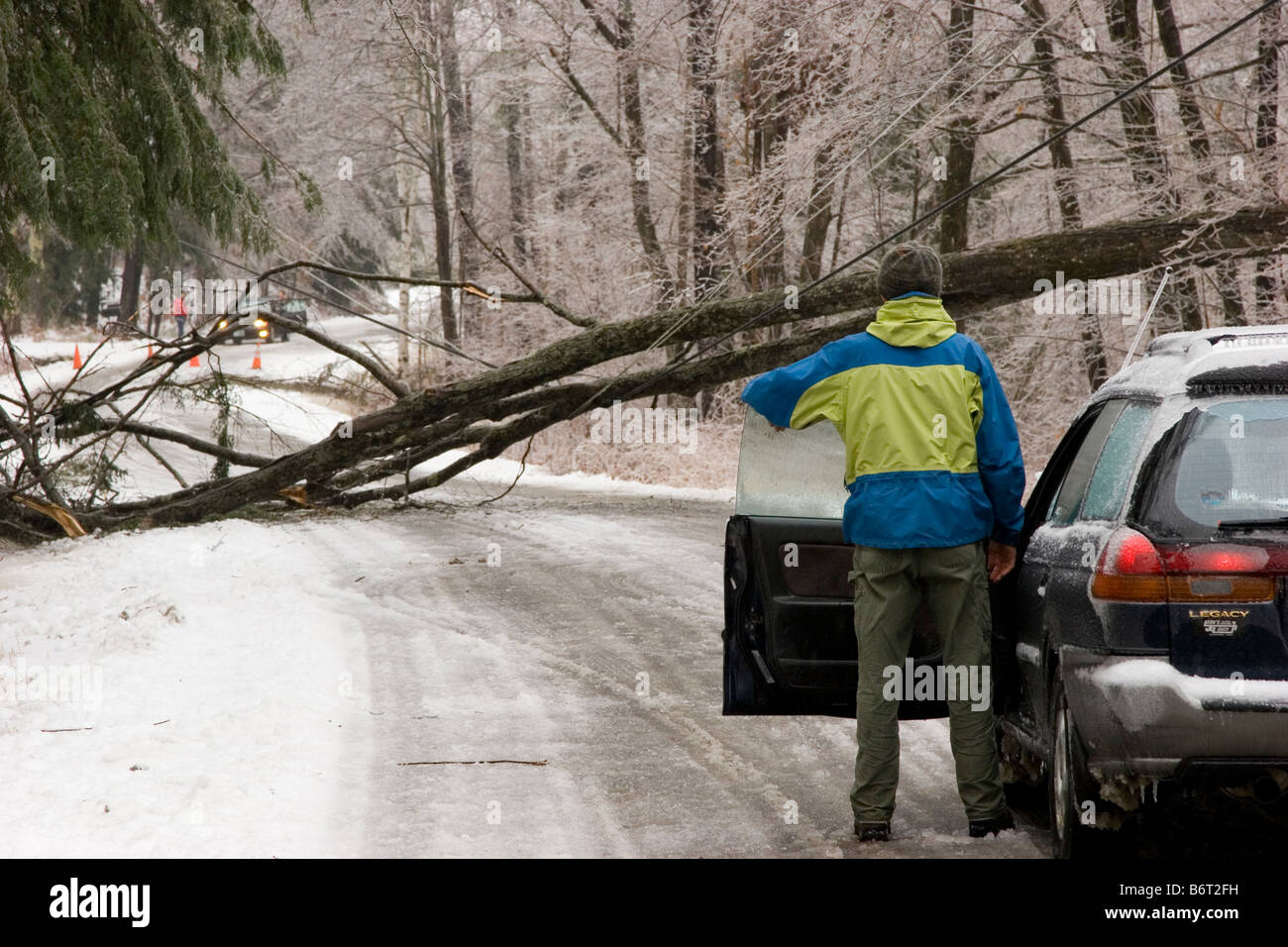Tree fallen across power line and road in front of car Stock Photo - Alamy