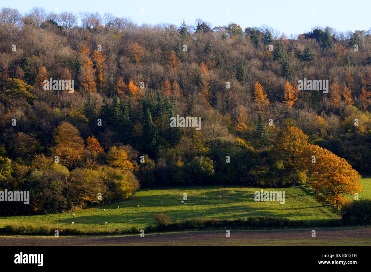 Wenlock edge hi-res stock photography and images - Alamy