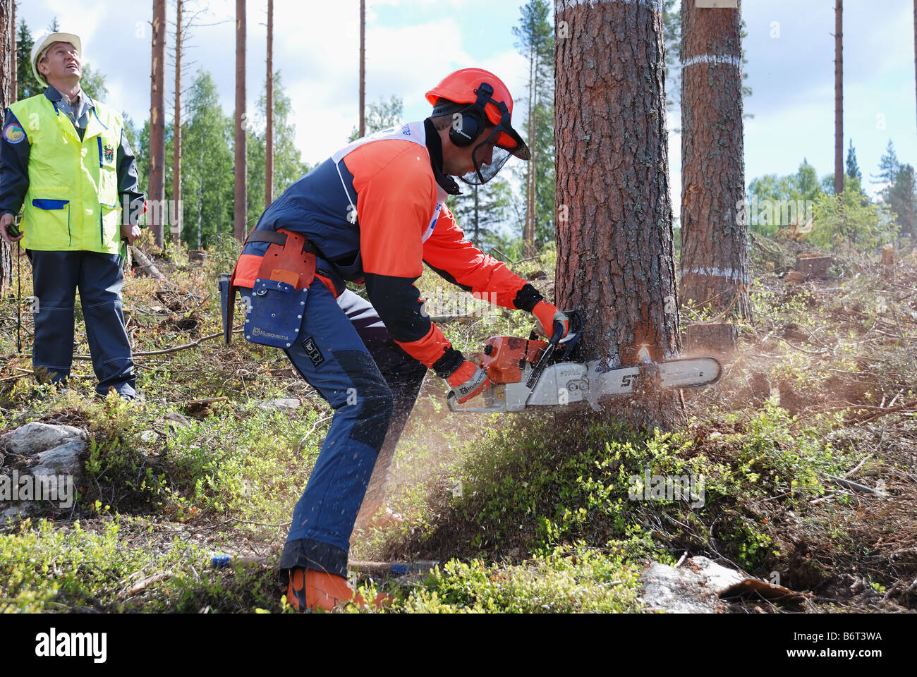 Tree fellers hi-res stock photography and images - Alamy