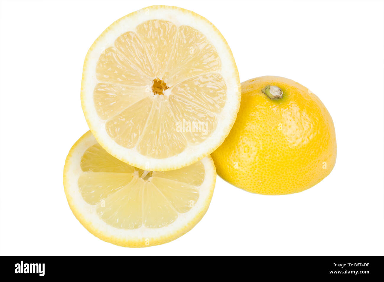 Tree slices Cut Out Stock Images & Pictures - Alamy