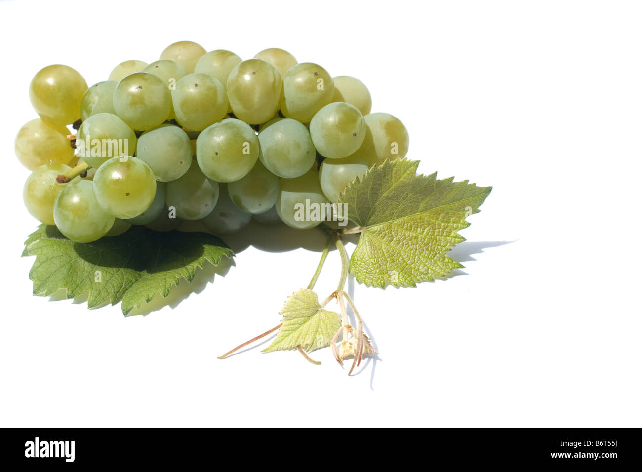 Close up bunch white grapes Cut Out Stock Images & Pictures - Alamy