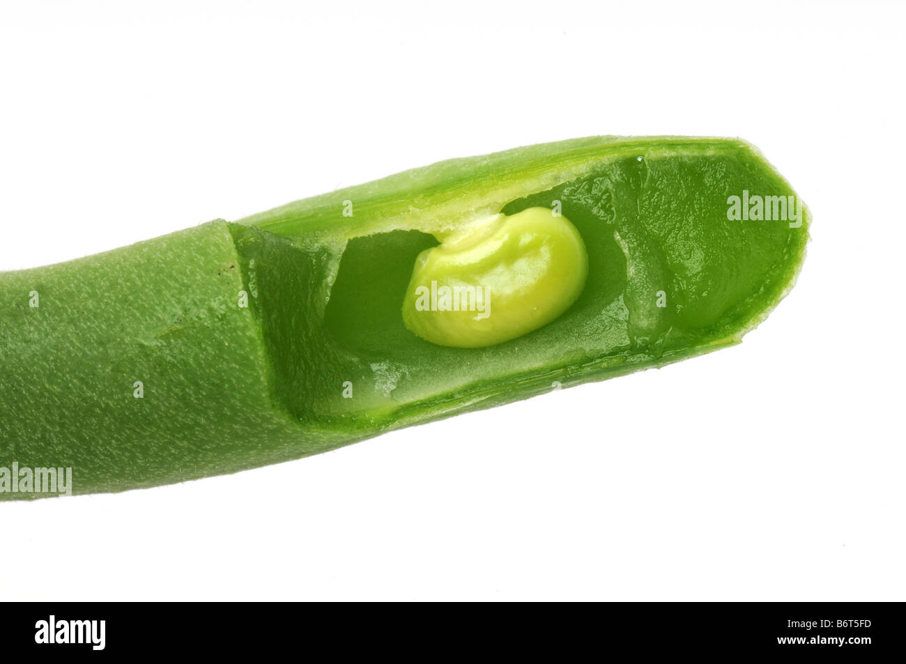 Bohne High Resolution Stock Photography and Images - Alamy