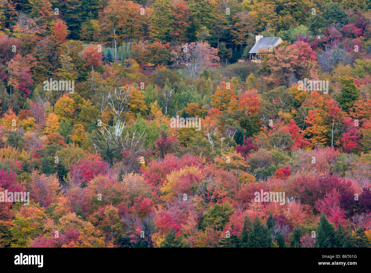 Fall 2008 hi-res stock photography and images - Alamy