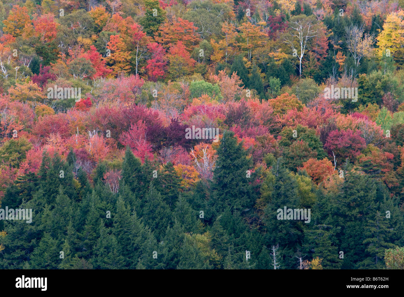 Northeast fall foliage hi-res stock photography and images - Alamy