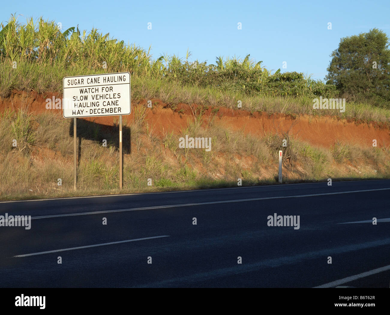 Childers sugar cane Stock Photo - Alamy