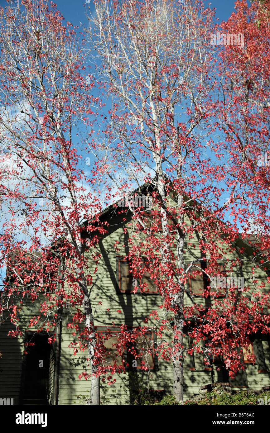 wooden house with fall colors of trees and sky Stock Photo - Alamy