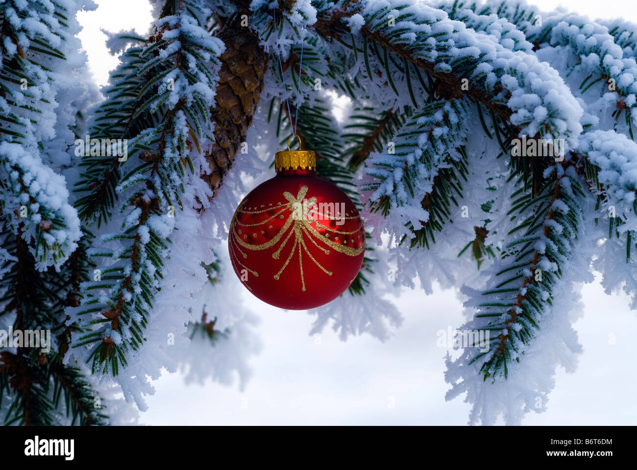 Ball of snow hi-res stock photography and images - Alamy