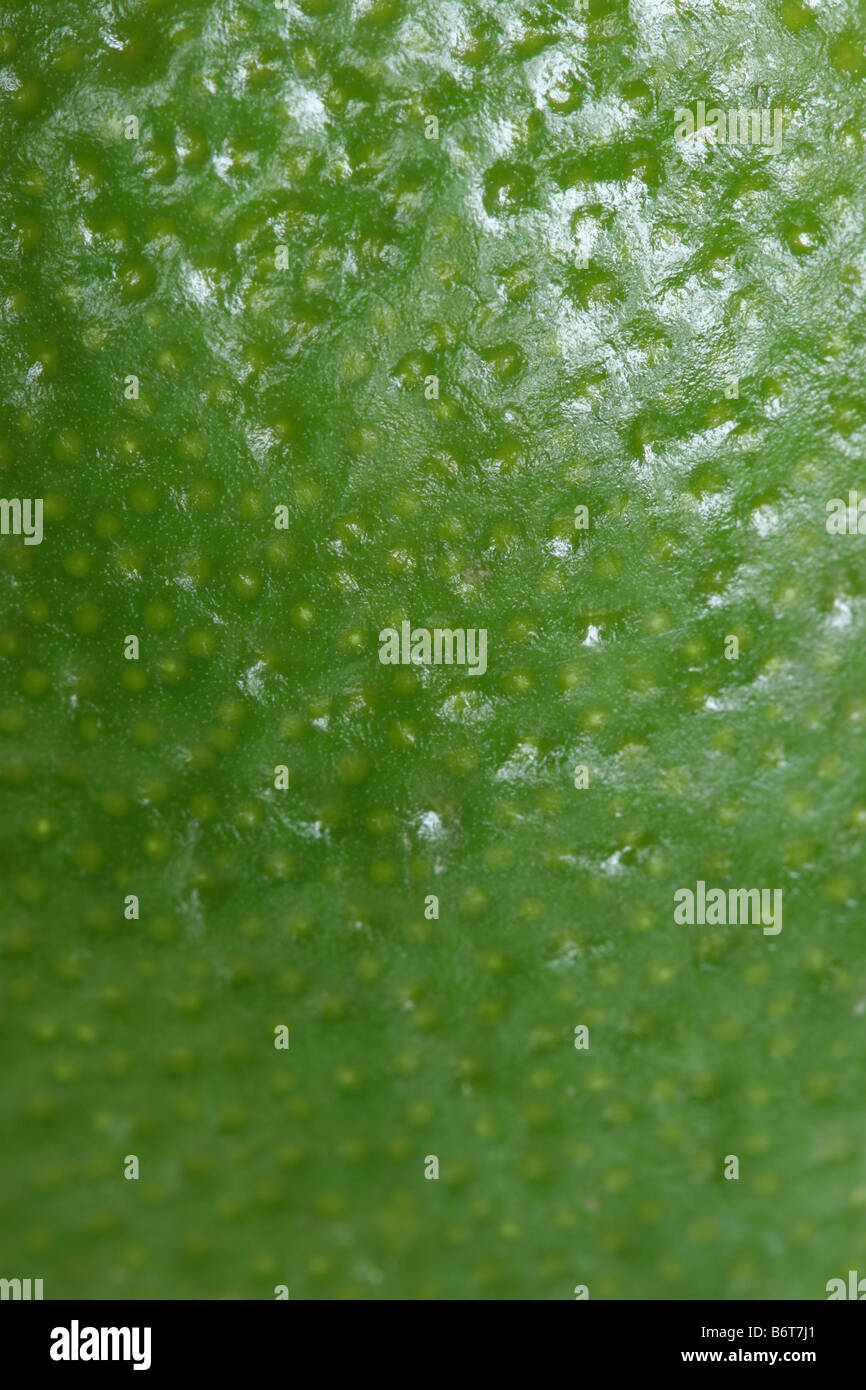 Vibrant skin hi-res stock photography and images - Alamy