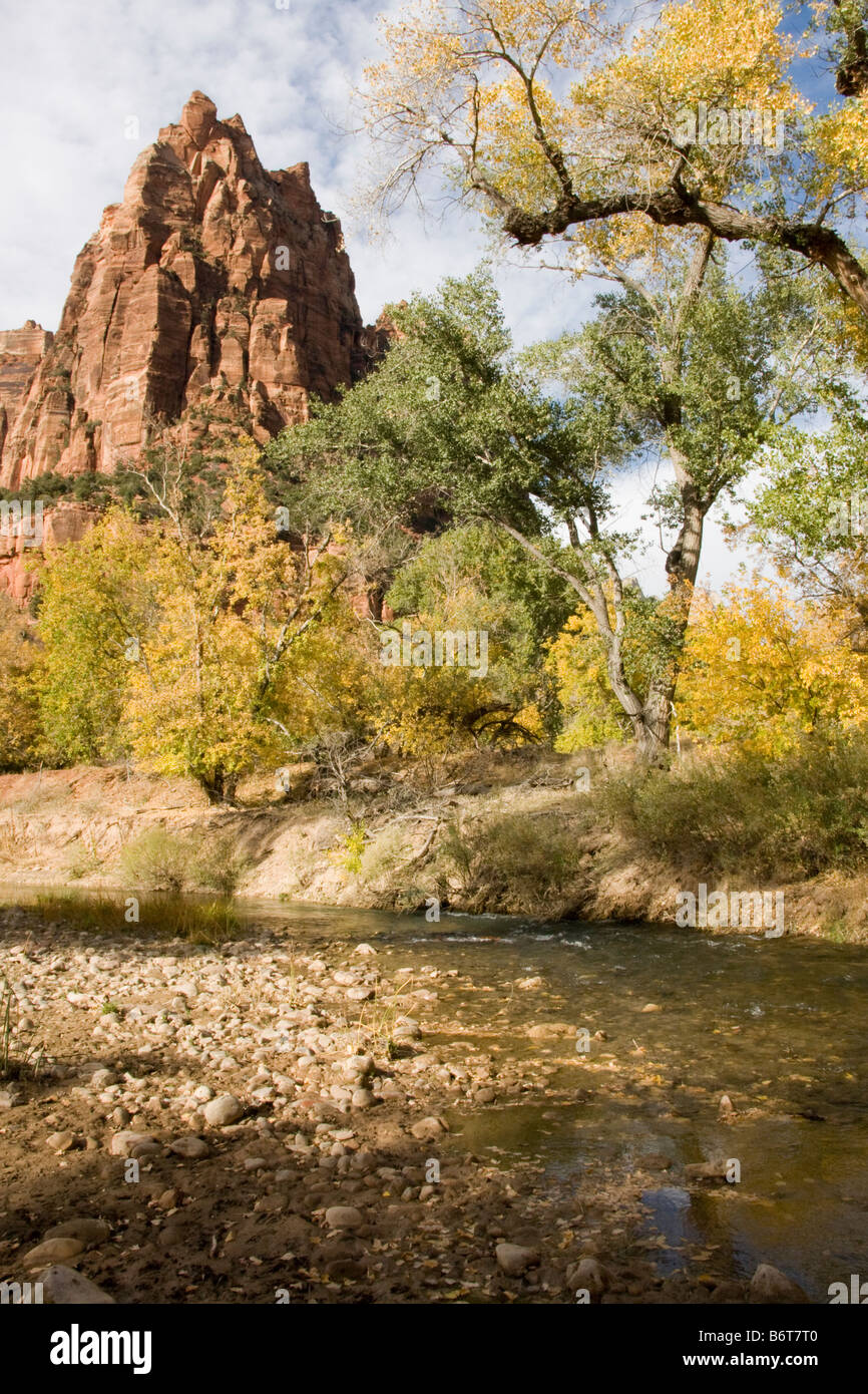 Patriarch family hi-res stock photography and images - Alamy