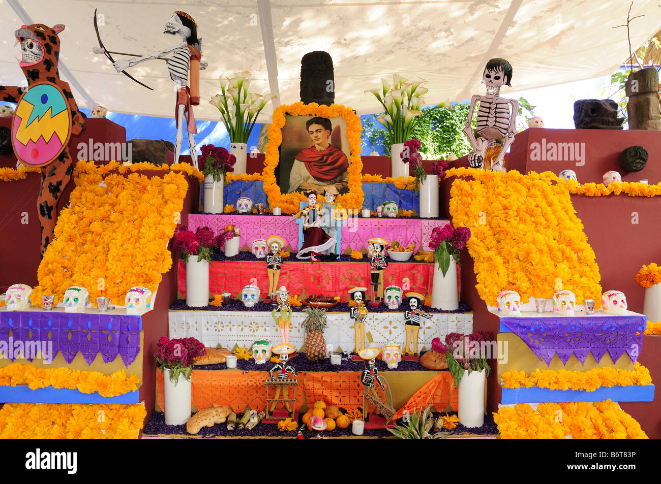 Altar Dia De Los Muertos Frida