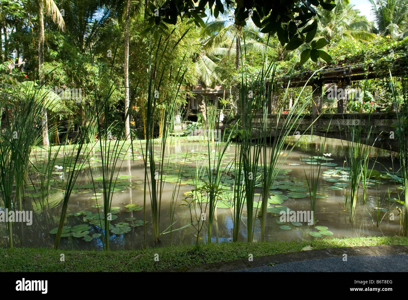 Gardens of the Agung Rai Museum of Art, at Ubud (Bali - Indonesia ...