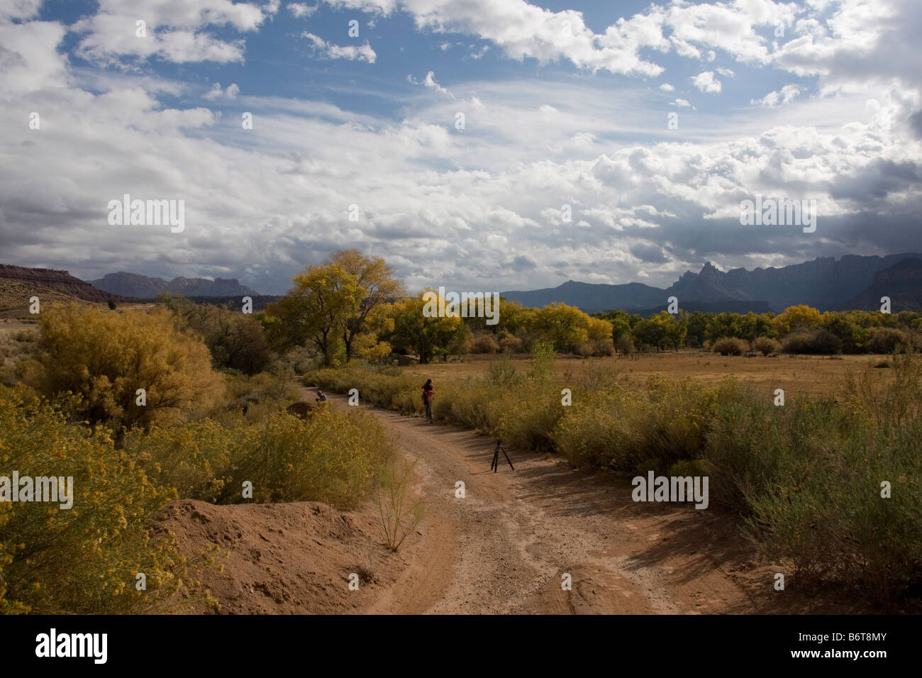 Splendour setting hi-res stock photography and images - Alamy