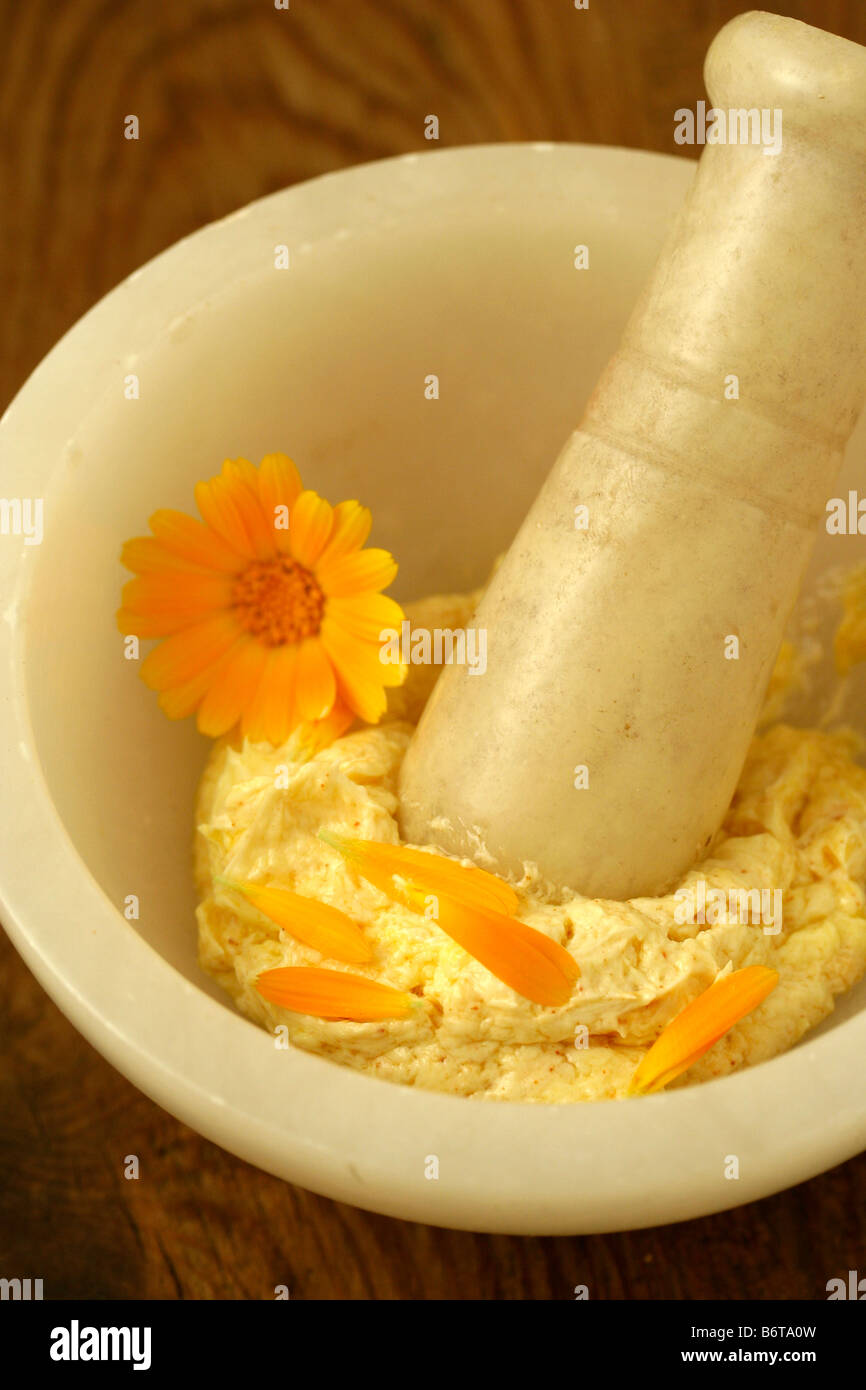 Marigold cream Calendula officinalis Stock Photo - Alamy