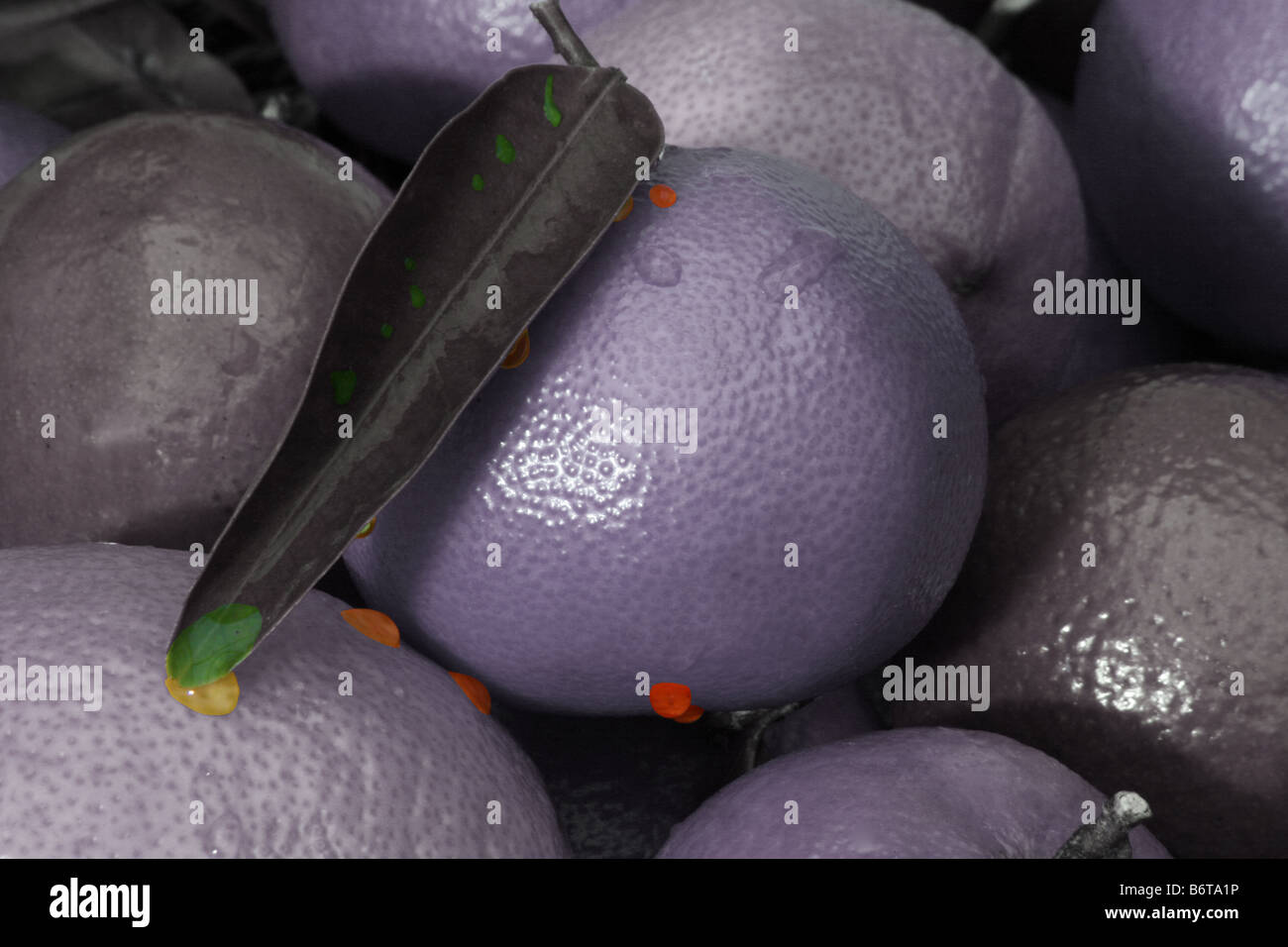 coloured water droplets on black and white fruit Stock Photo - Alamy
