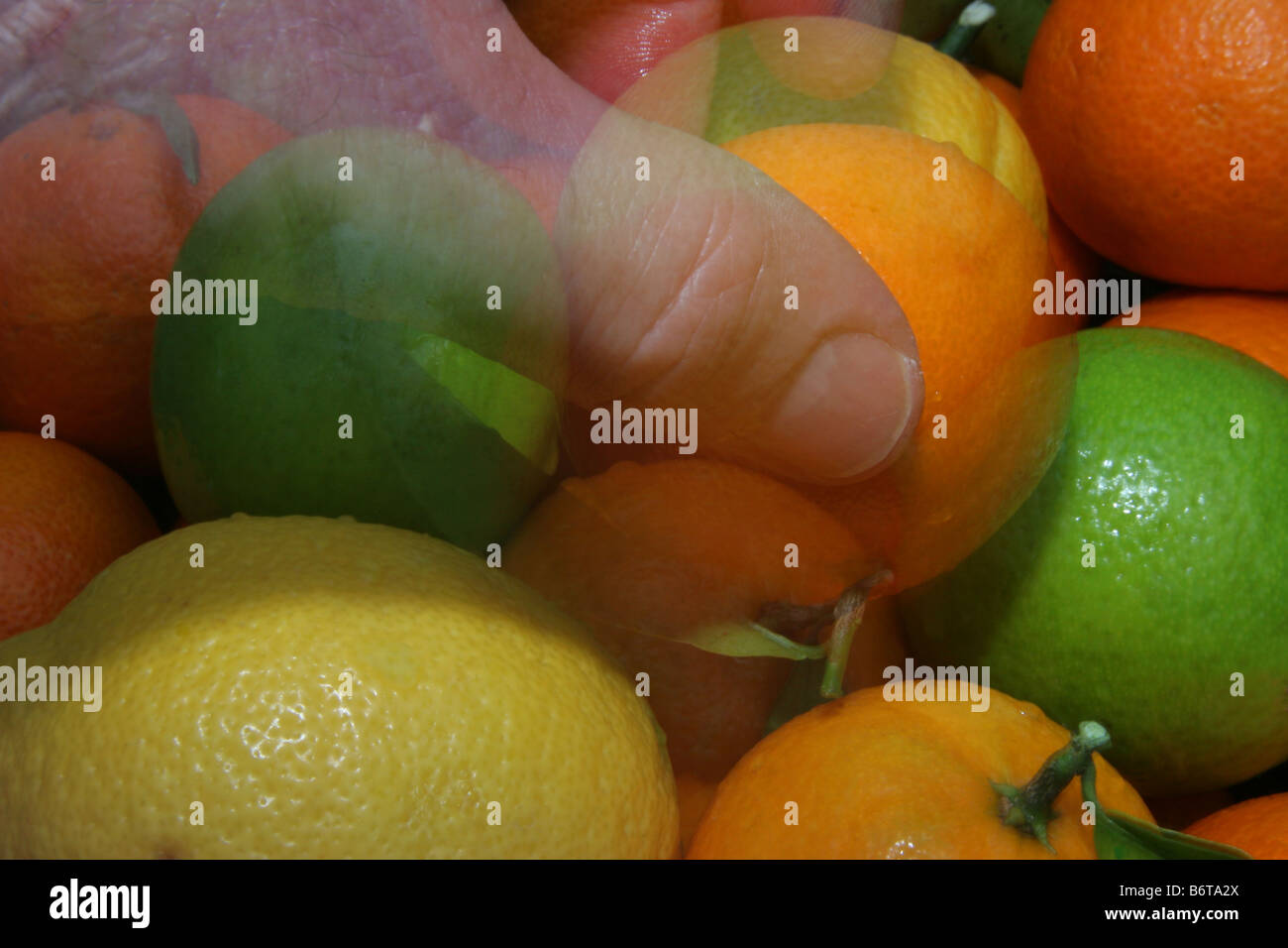 hand taking satsuma from a bowl Stock Photo - Alamy