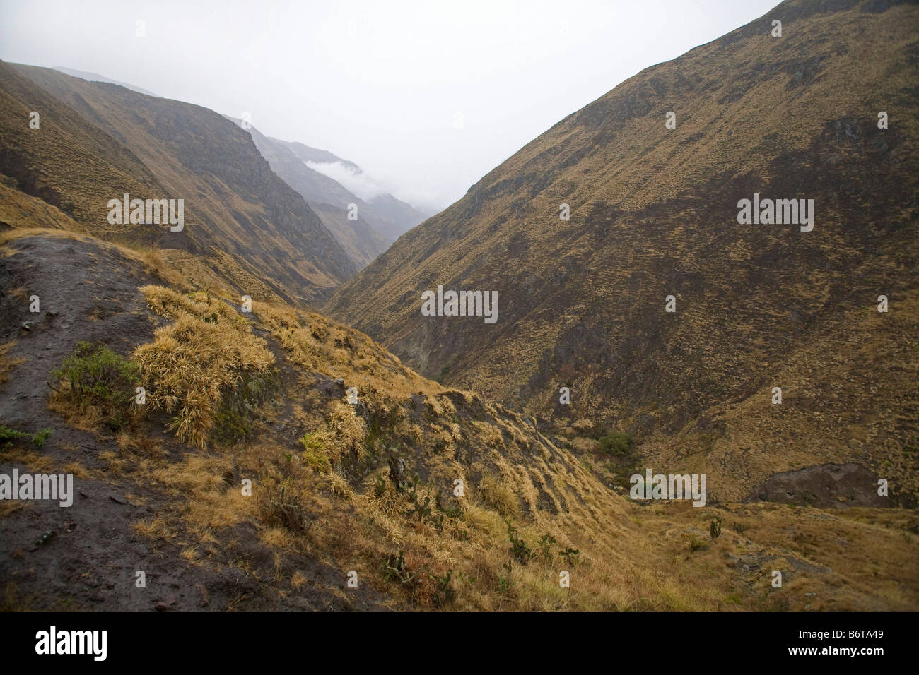Scenic landscape near Sibambe from Riobamba mountain train Chimborazo ...