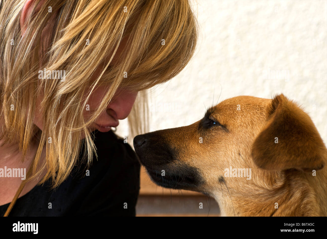 Woman and Dog Sharing a Moment Stock Photo - Alamy