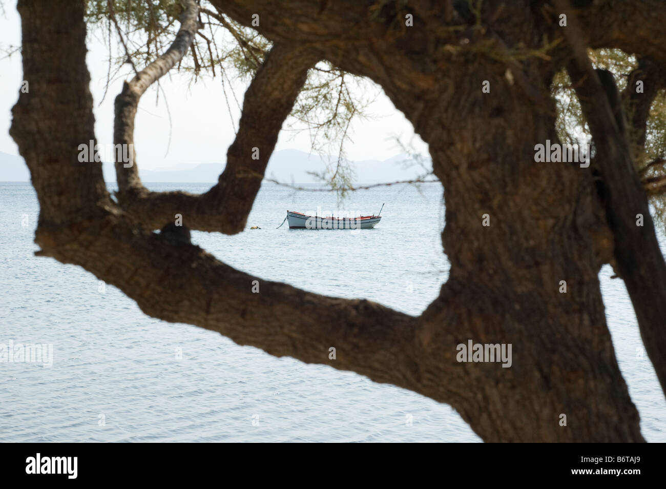 boat and tree greece Stock Photo - Alamy