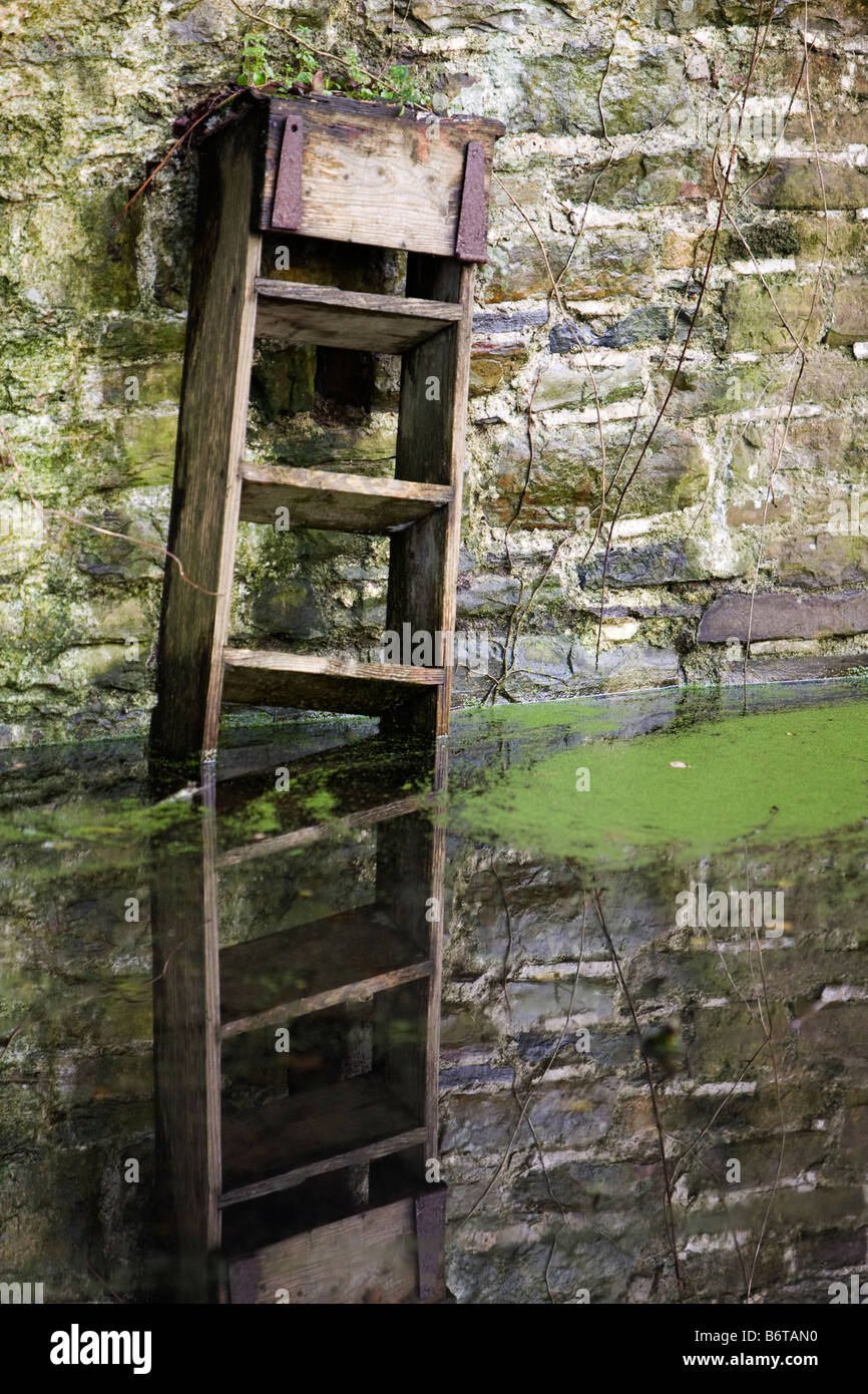 Interesting Ladder With Reflection Stock Photo - Alamy