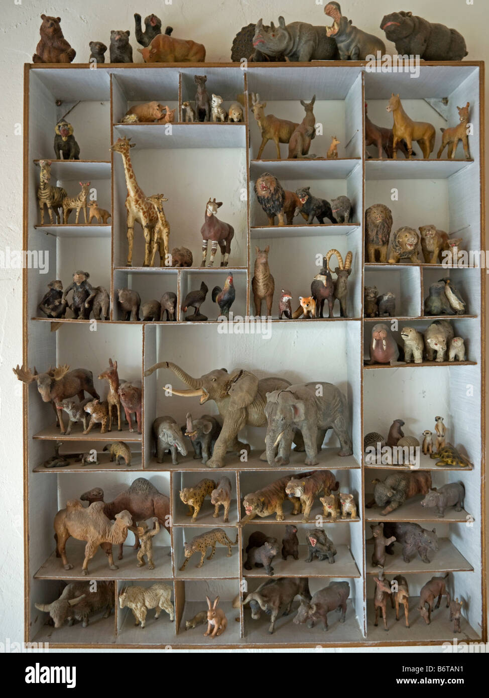 collector board filled with a collection of several different animal ...