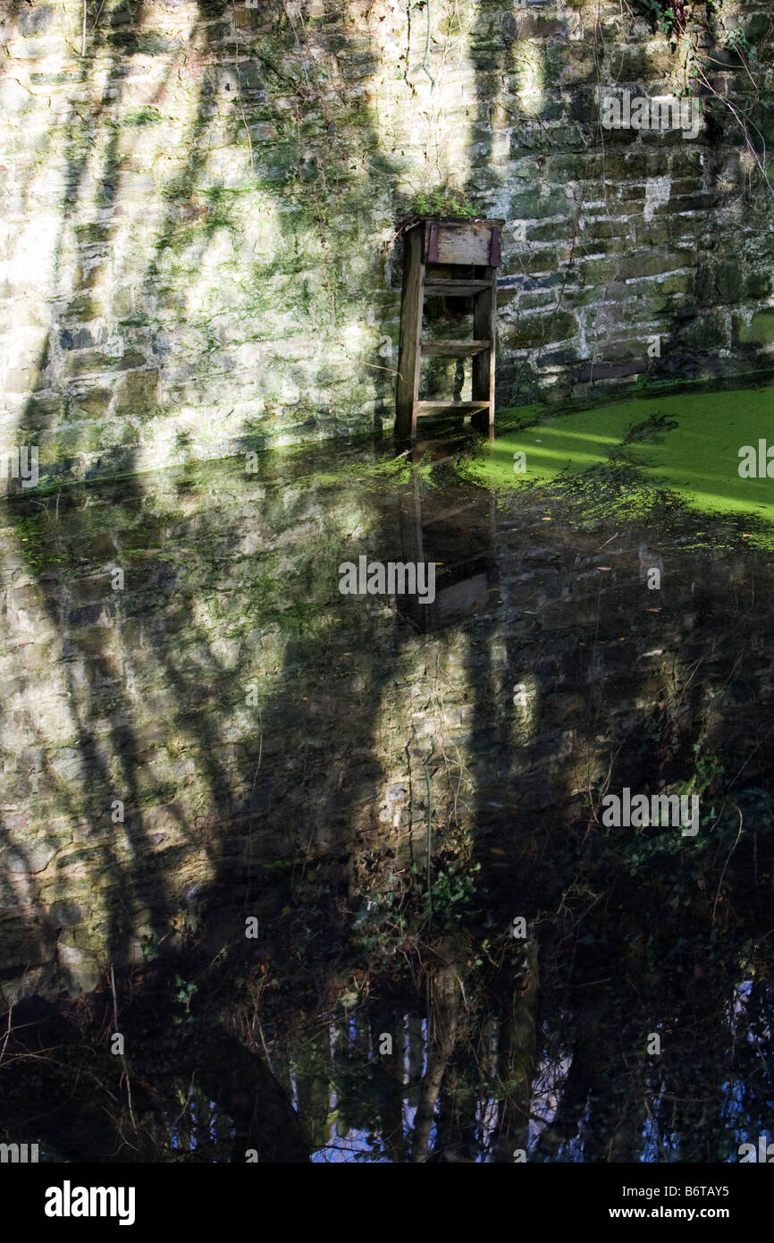 Interesting climbing hi-res stock photography and images - Alamy