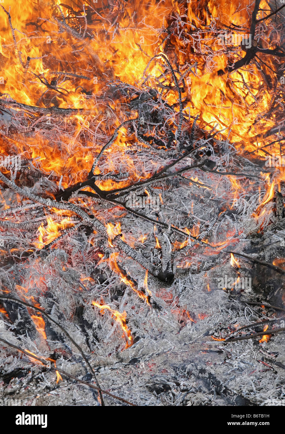 ground fire showing embers, ash, and debris Stock Photo - Alamy