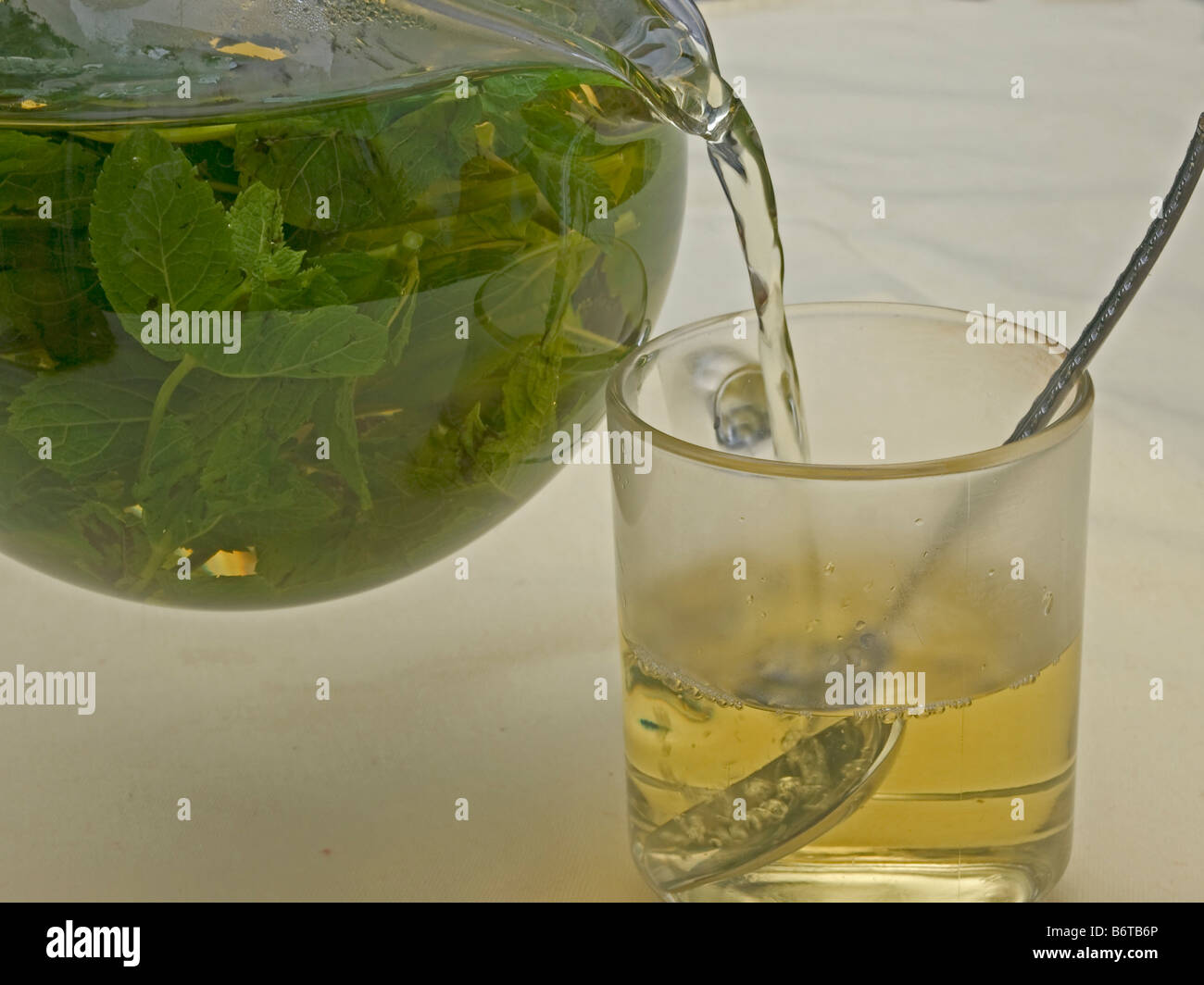 pouring hot mint tea from a glass pot with peppermint tea in a tea ...