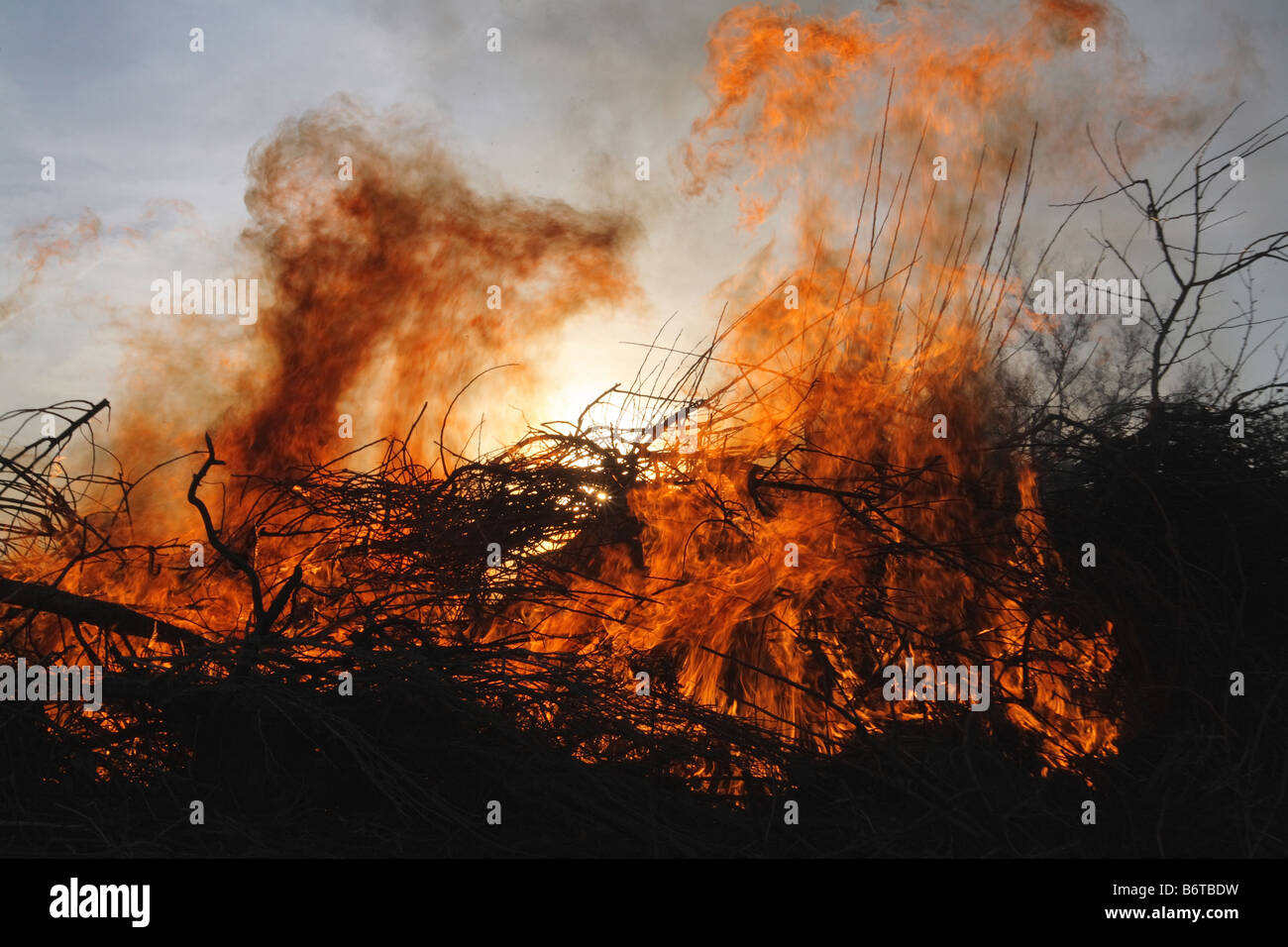 Wildfire disaster blaze hi-res stock photography and images - Alamy