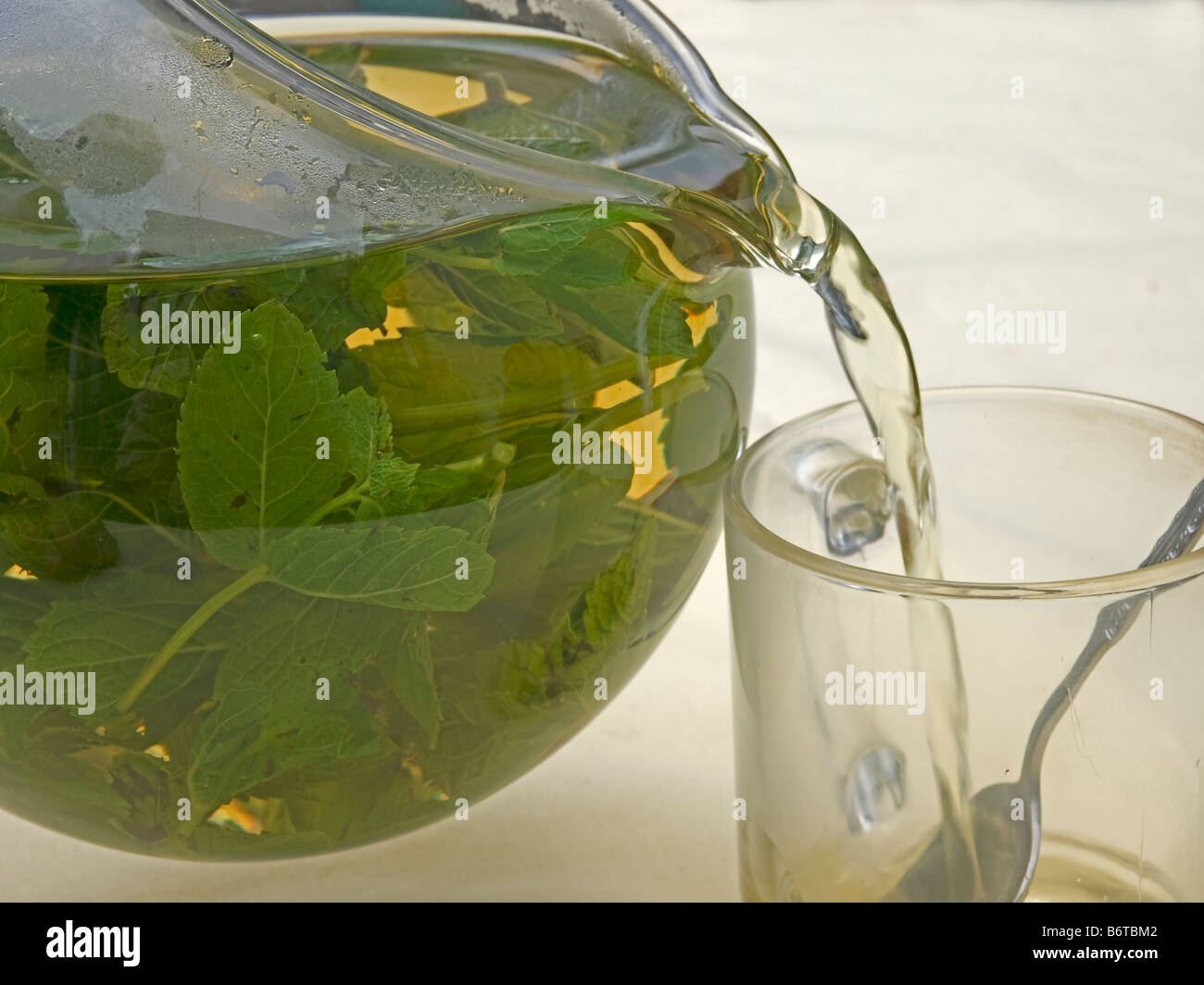 pouring hot mint tea from a glass pot with peppermint tea in a tea ...