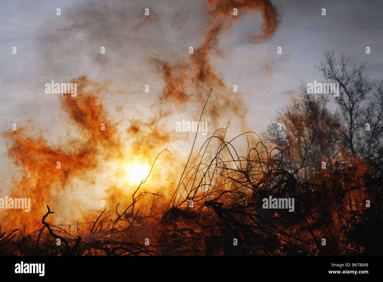 Forest fire hi-res stock photography and images - Alamy