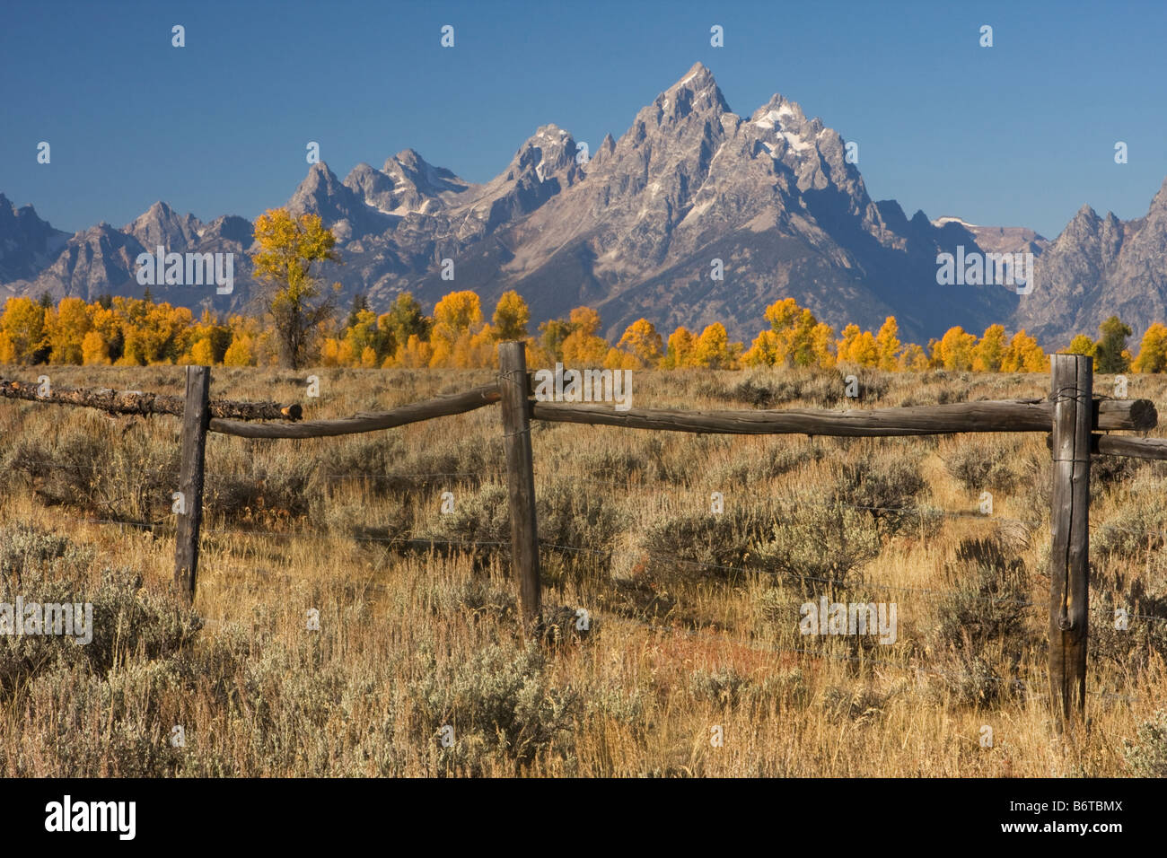 Grand Teton above a buck and rail fence near the Triangle X Ranch in ...