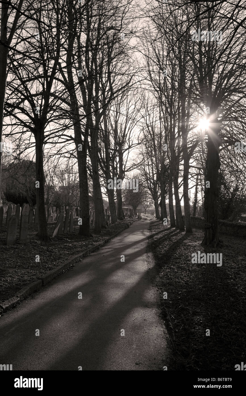 Black grave hi-res stock photography and images - Alamy