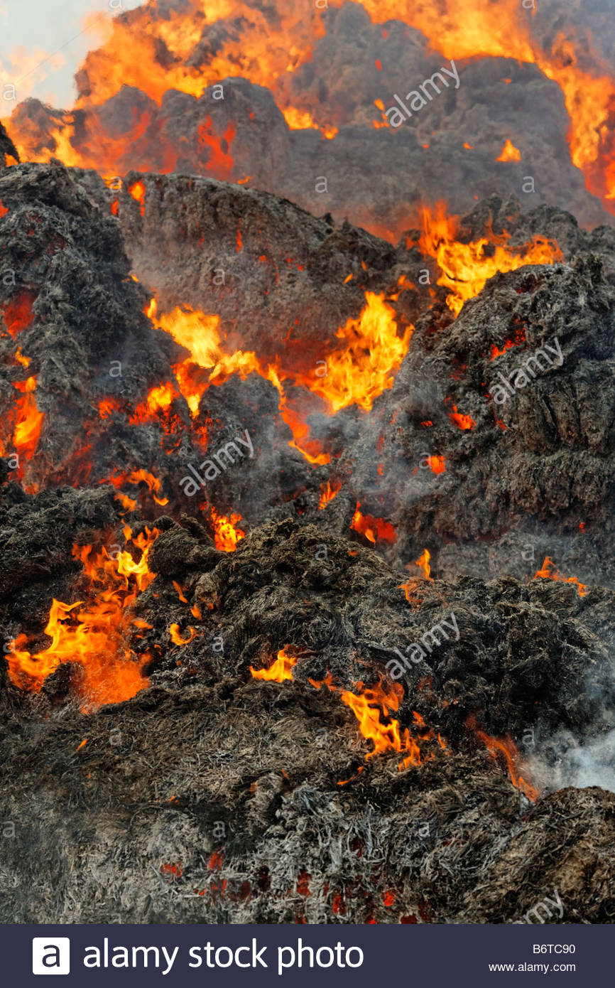 Hay Burning Stock Photos & Hay Burning Stock Images - Alamy