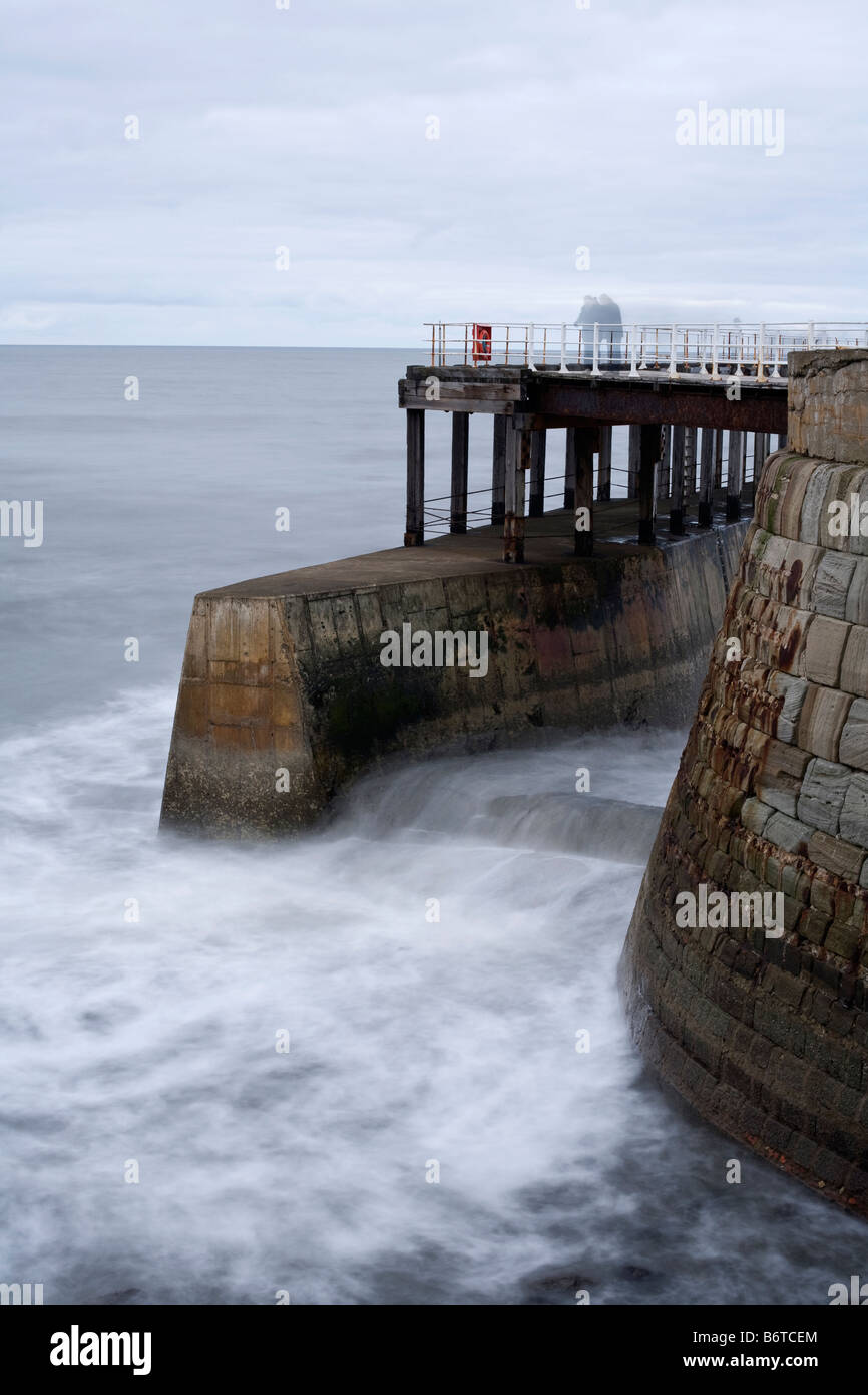 Fibures hi-res stock photography and images - Alamy