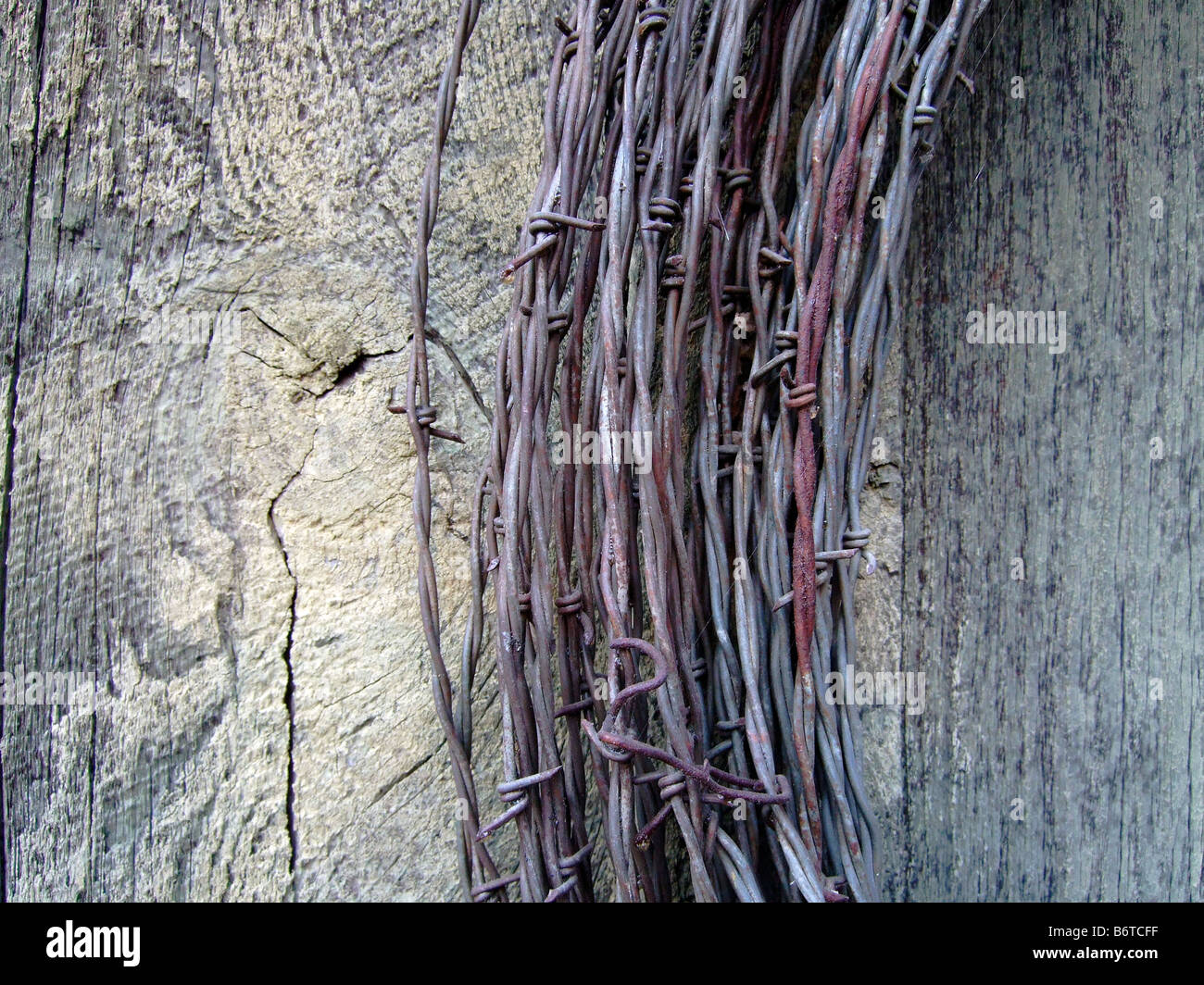 Coil barbed wire hi-res stock photography and images - Alamy