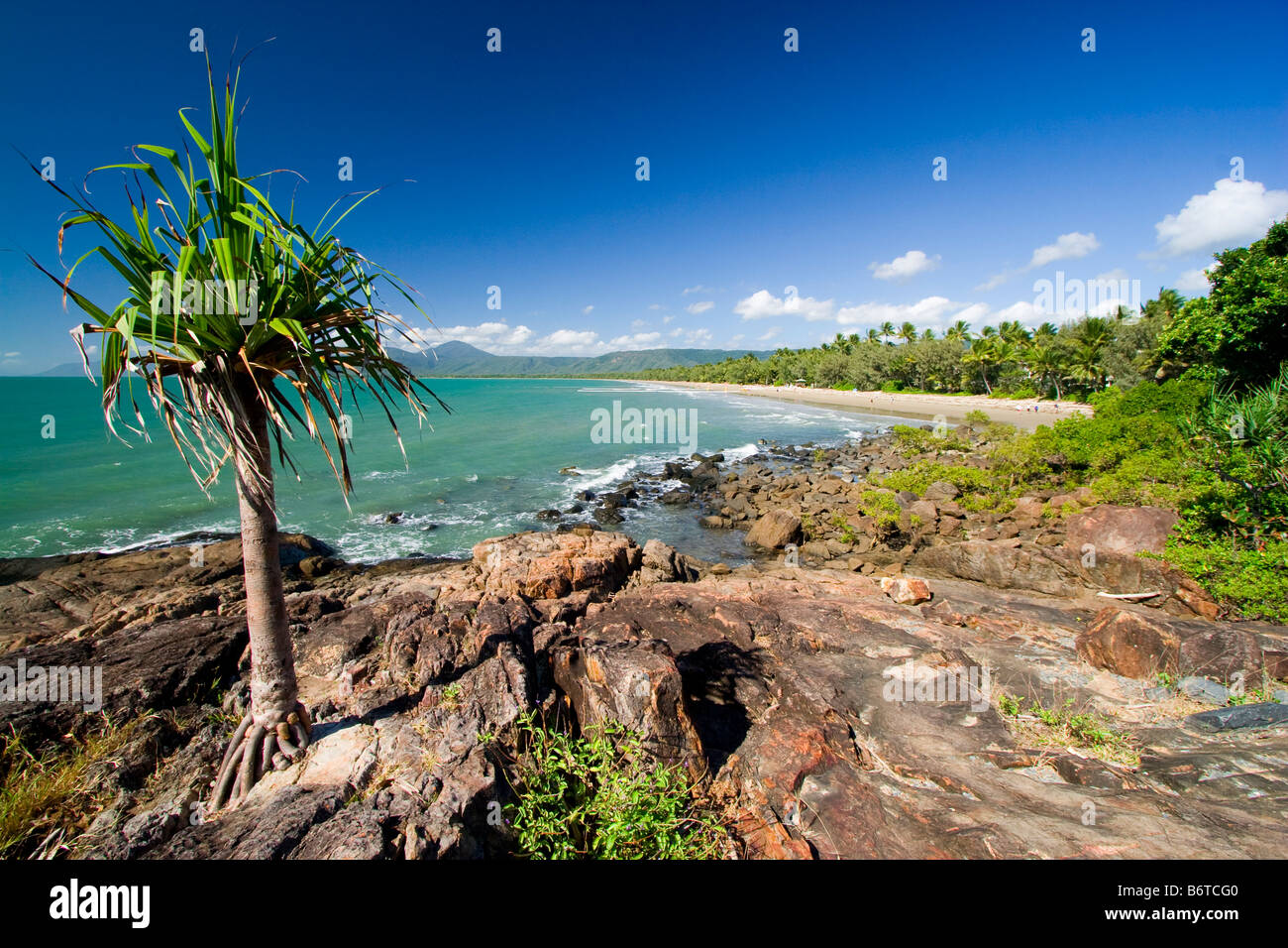 Four palm trees on tropical beach hi-res stock photography and images ...