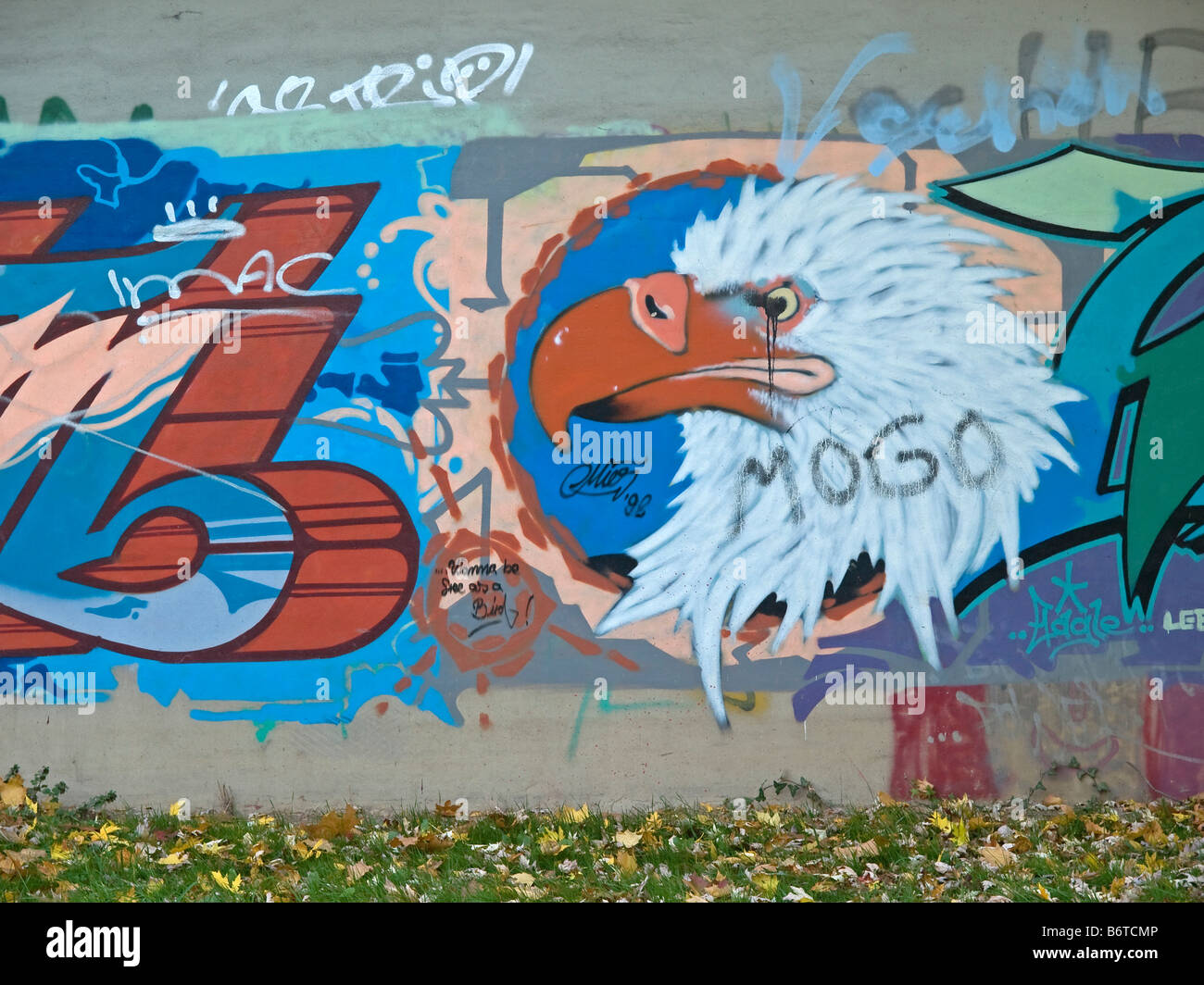 wall with graffiti head of an eagle with scratch and scribble in ...