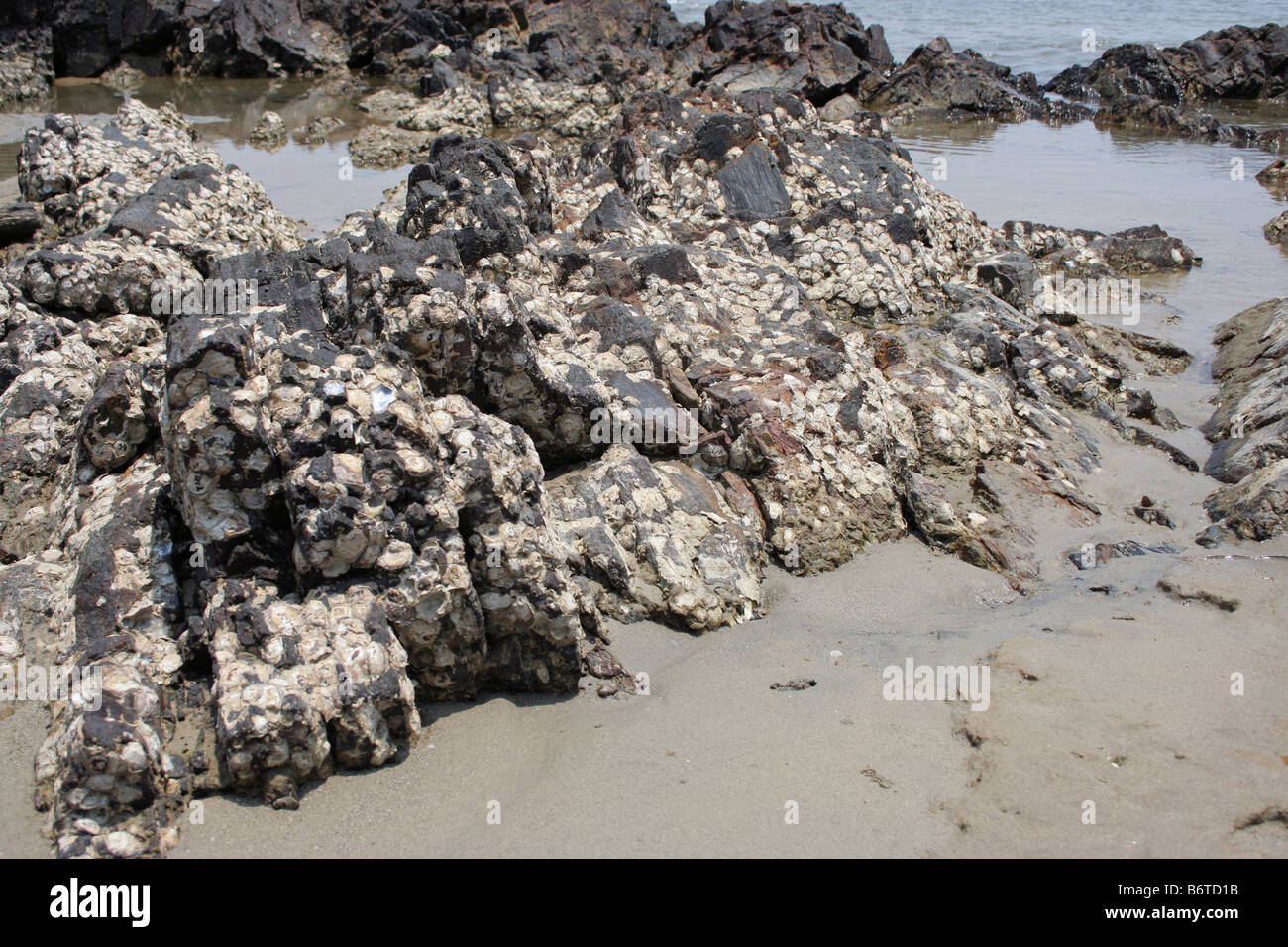 Exposed rocks during low tide Stock Photo - Alamy