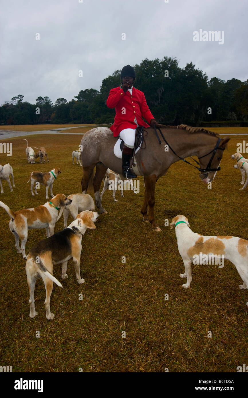 English fox hounds hi-res stock photography and images - Alamy