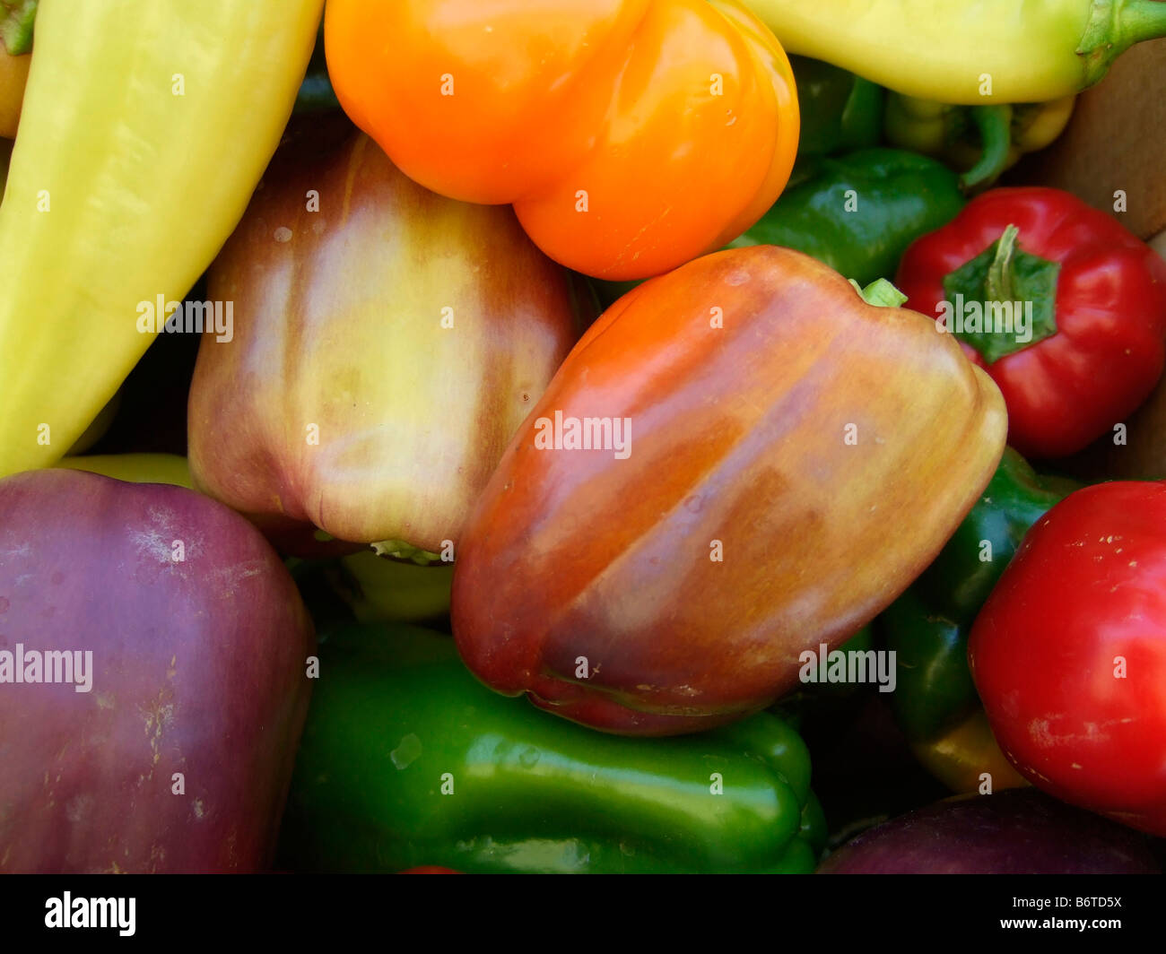 Orange yellow sweet peppers hi-res stock photography and images - Alamy