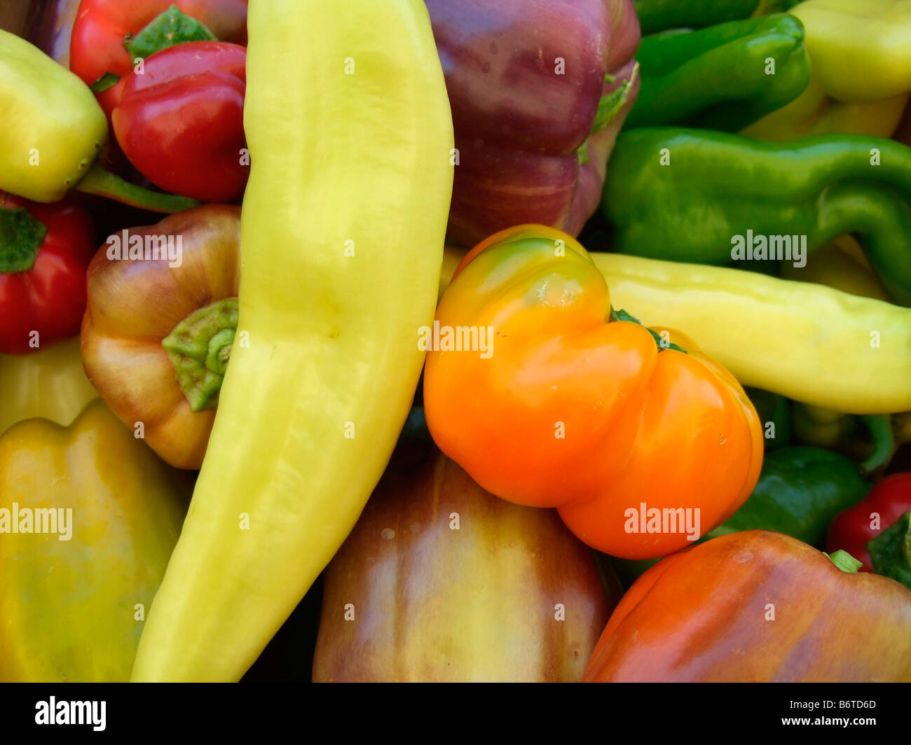 various sweet peppers, California Stock Photo - Alamy