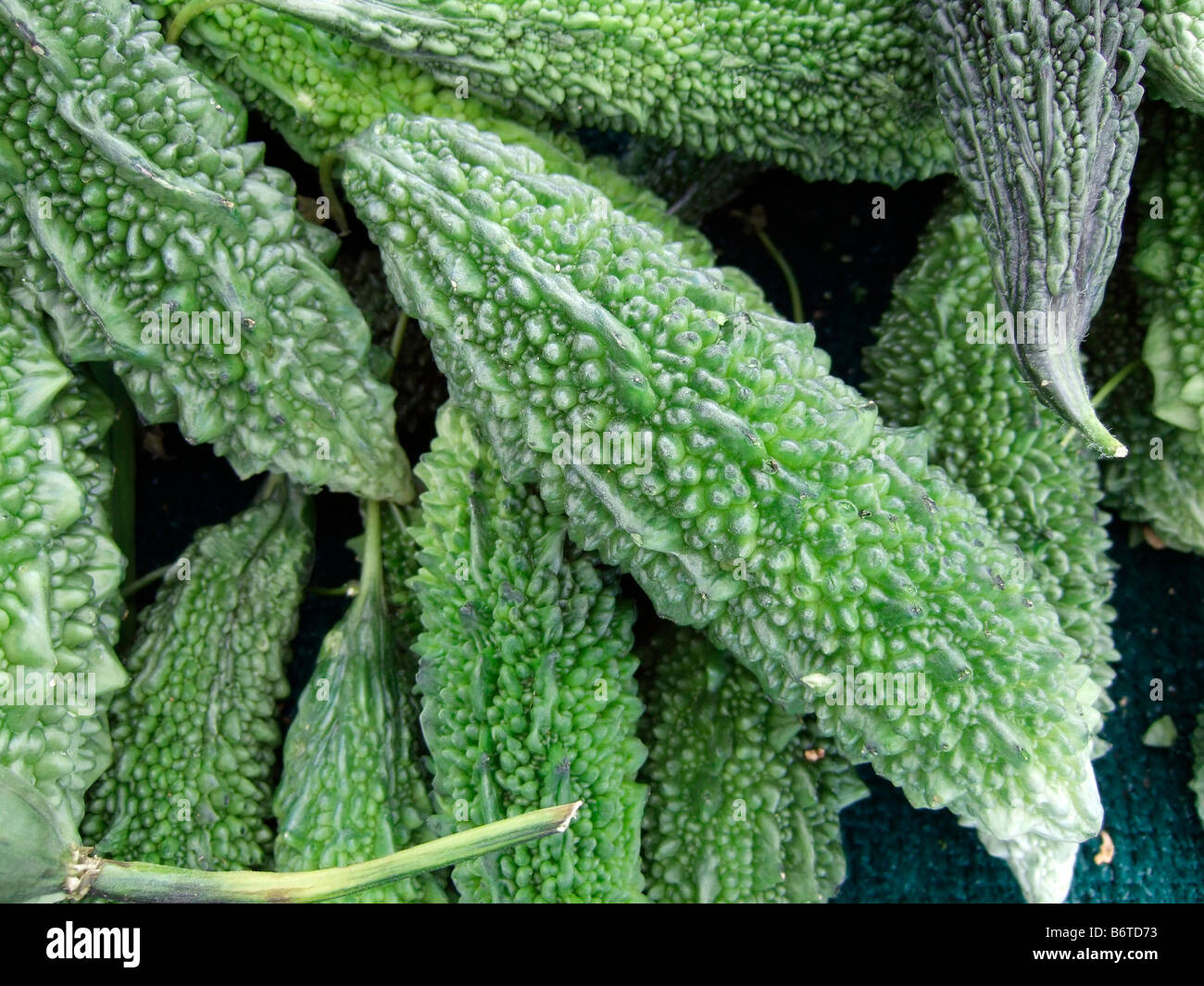 Chinese cucumbers, California Stock Photo - Alamy