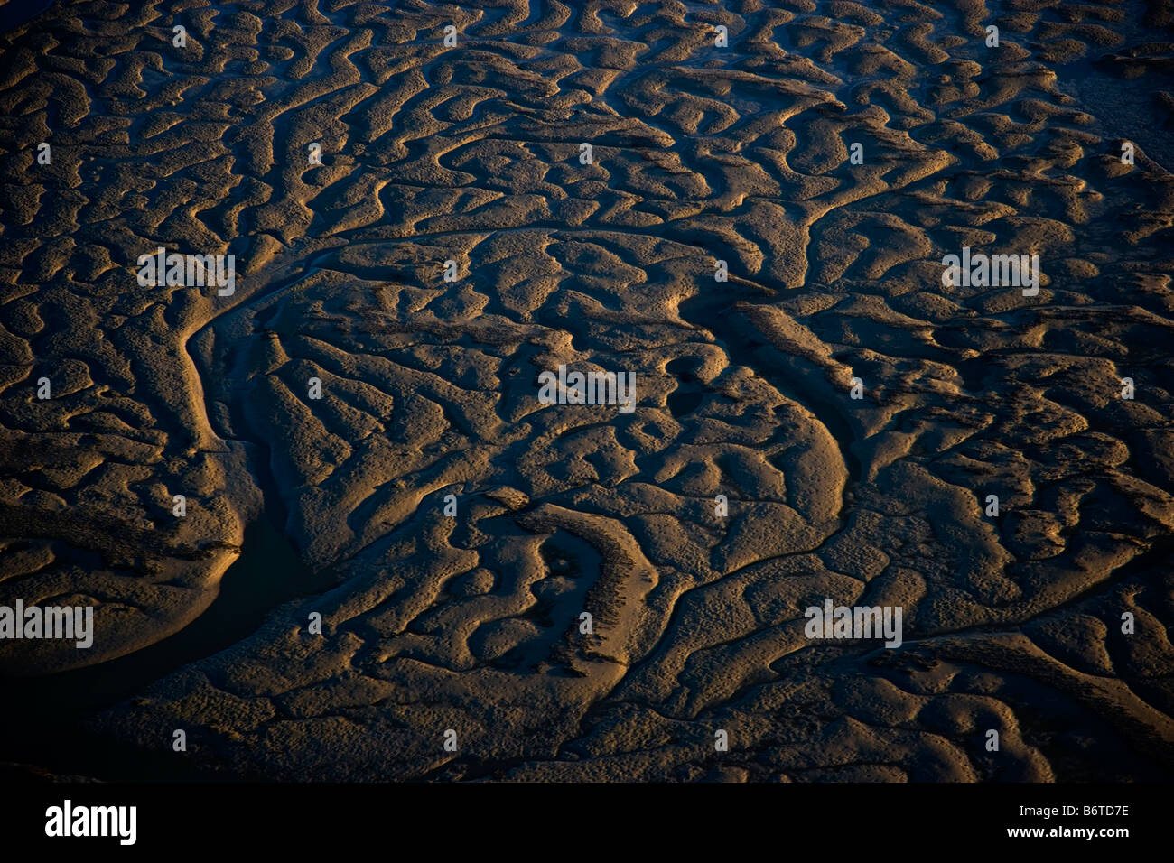 Aerial images of the salt marsh along the Charleston SC coast in Bulls ...